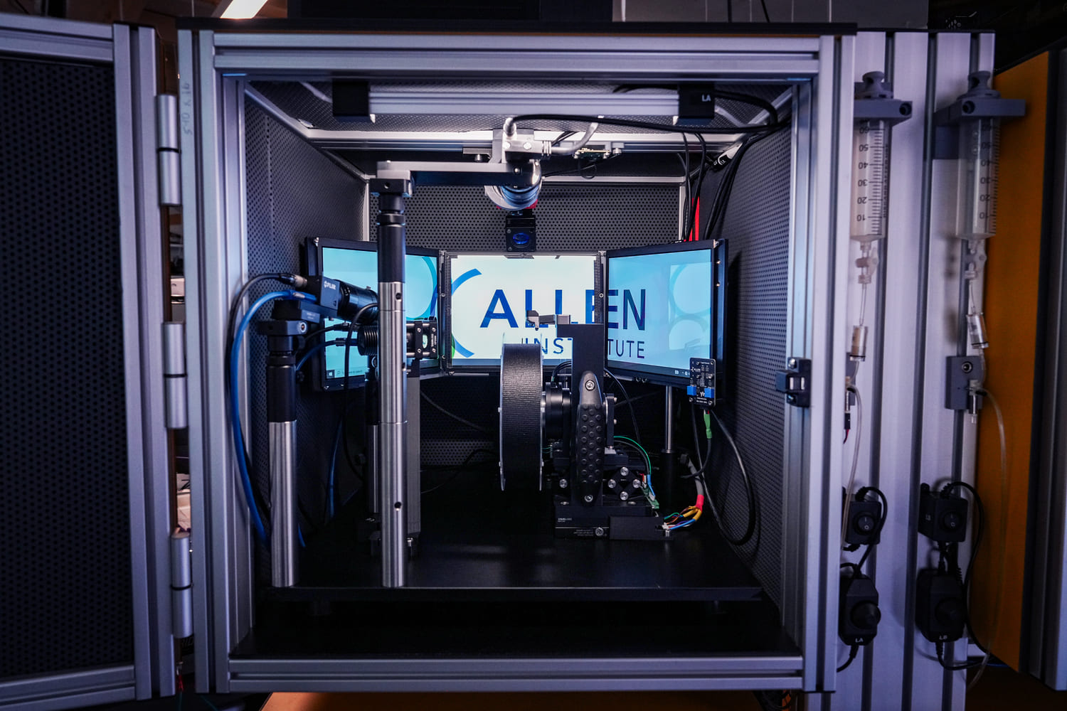 Allen Institute for Neural Dynamics